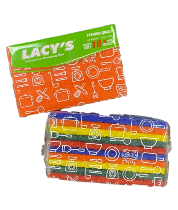 Heavy Duty Sponge & Scourer - SG Central Kitchen